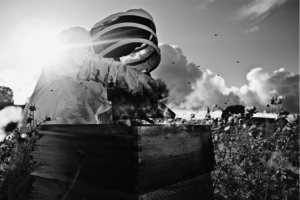Master Beekeeping Ecornell